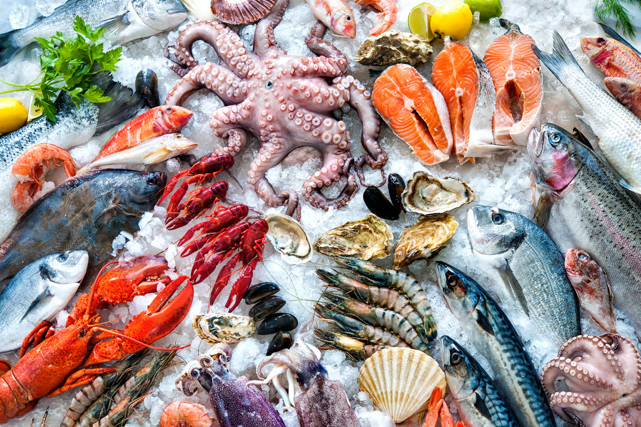 Fish (subphylum) – Yarde-Online